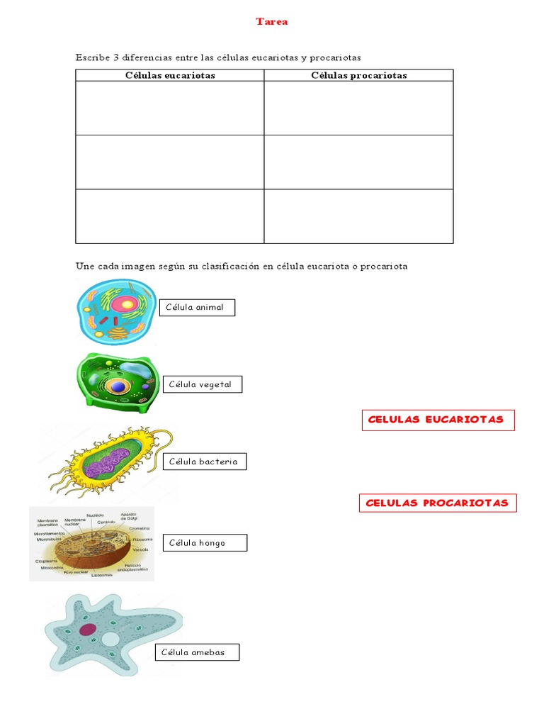 Tarea DE LA CELULA | PDF