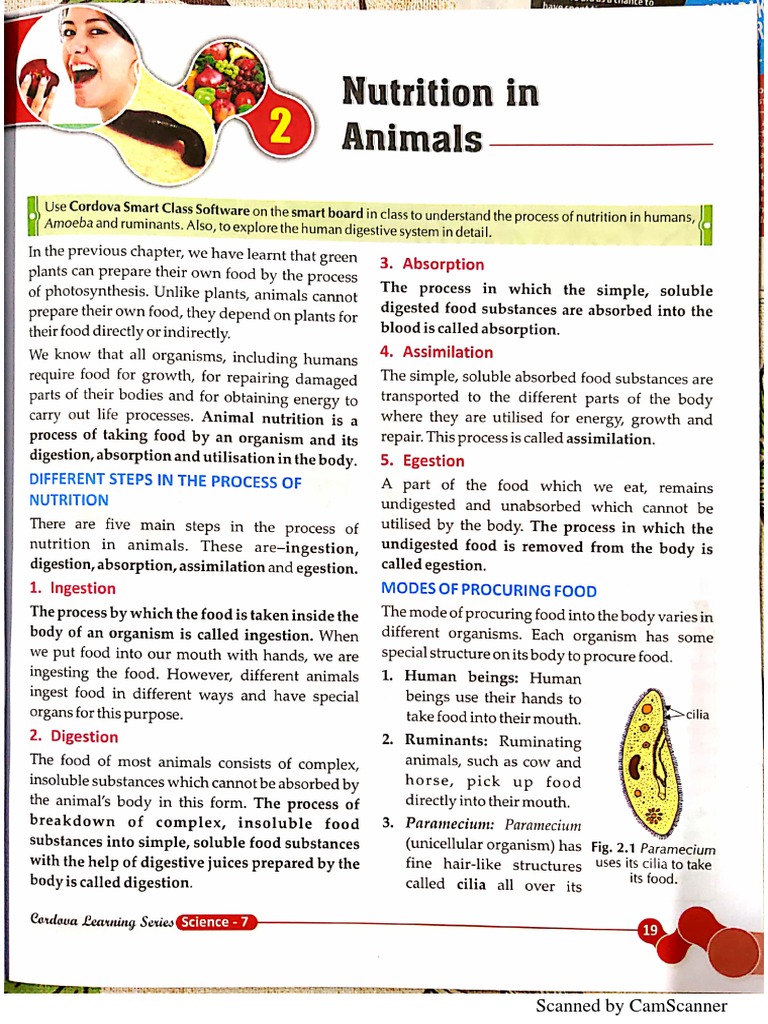 Nutrition in Animals | PDF