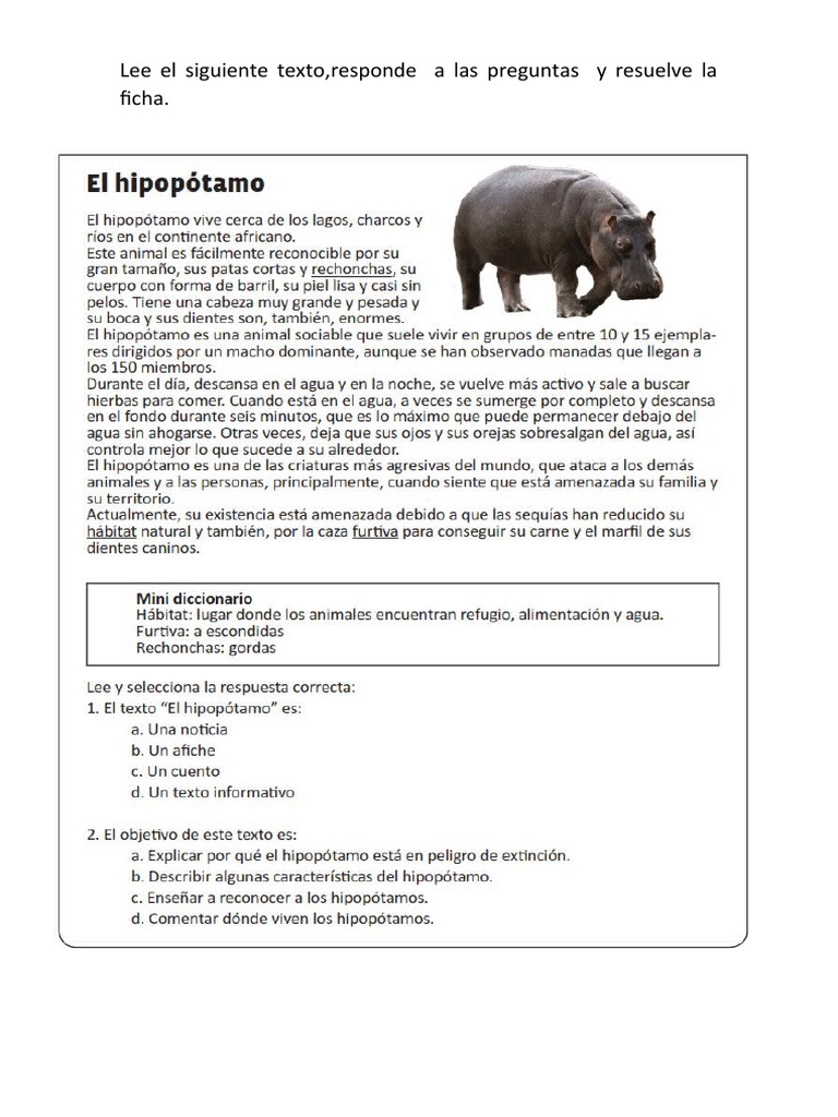 El Hipopótamo | PDF