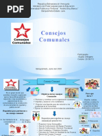 Consejo Comunal Introduccion | PDF