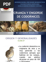 Plan de Alimentación para Codornices | PDF | Magnesio | Nutrición