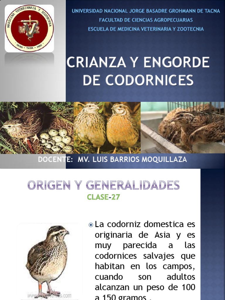 Crianza de Codornices | PDF | Sistema digestivo humano | Pulmón