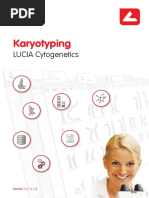 CytoVision Brochure 01LBL1016 A3 Screen | PDF | Microsoft Windows ...
