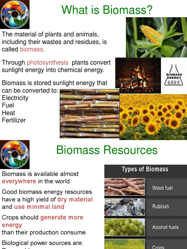 What Is Biomass | PDF | Biomass | Anaerobic Digestion