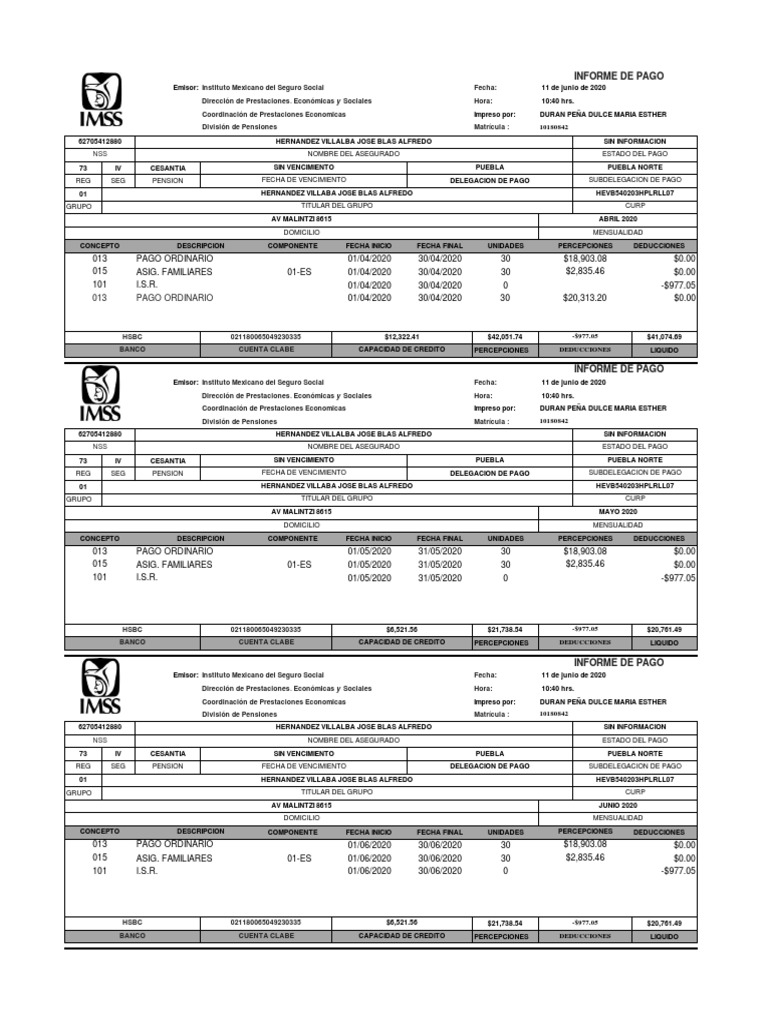Informe de Pago Imss | PDF | Servicios financieros | Bancario