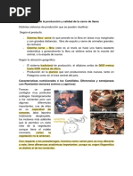 Análisis Clínico del Líquido Ruminal | PDF | Rumiante | Química