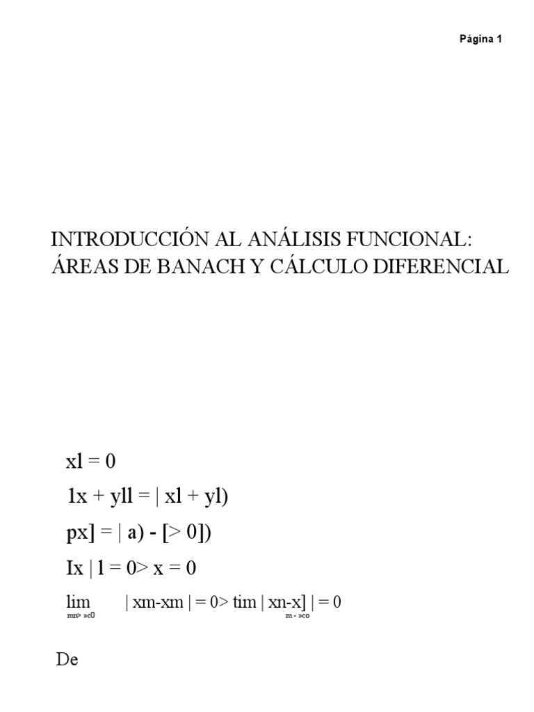 Intro Analisis Func. | PDF | Espacio de Banach | Norma (Matemáticas)