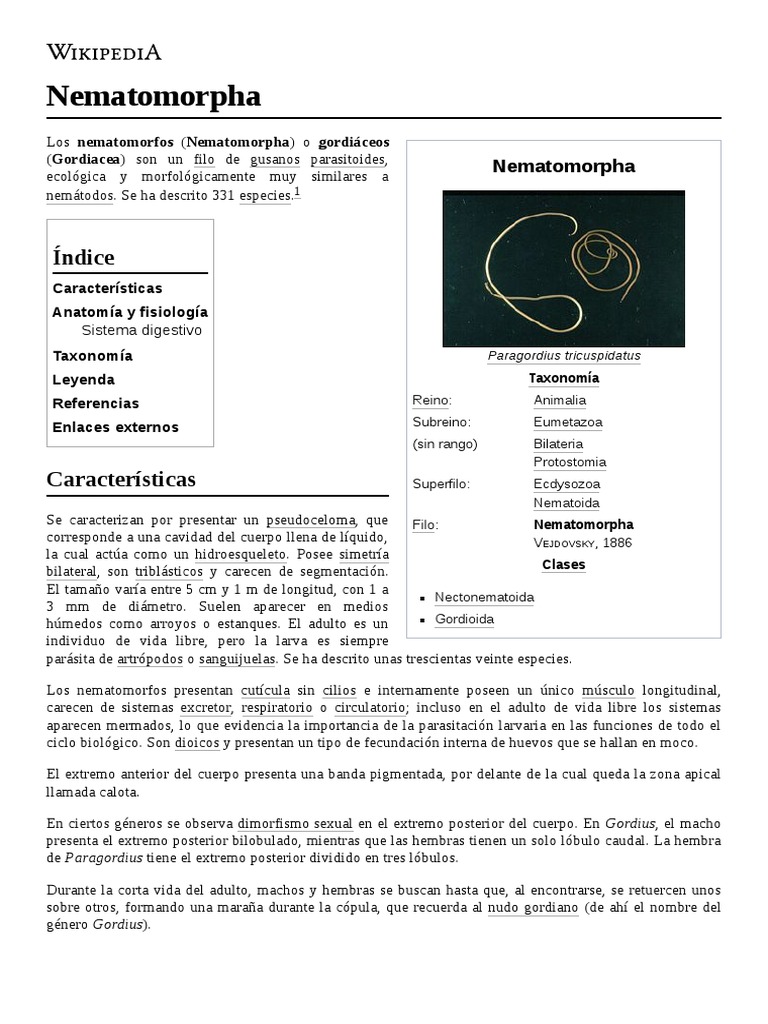 Nematomorpha | PDF | Protostomas | Organismos