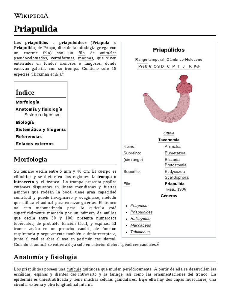 Priapulida | PDF | Anatomía | Protostomas