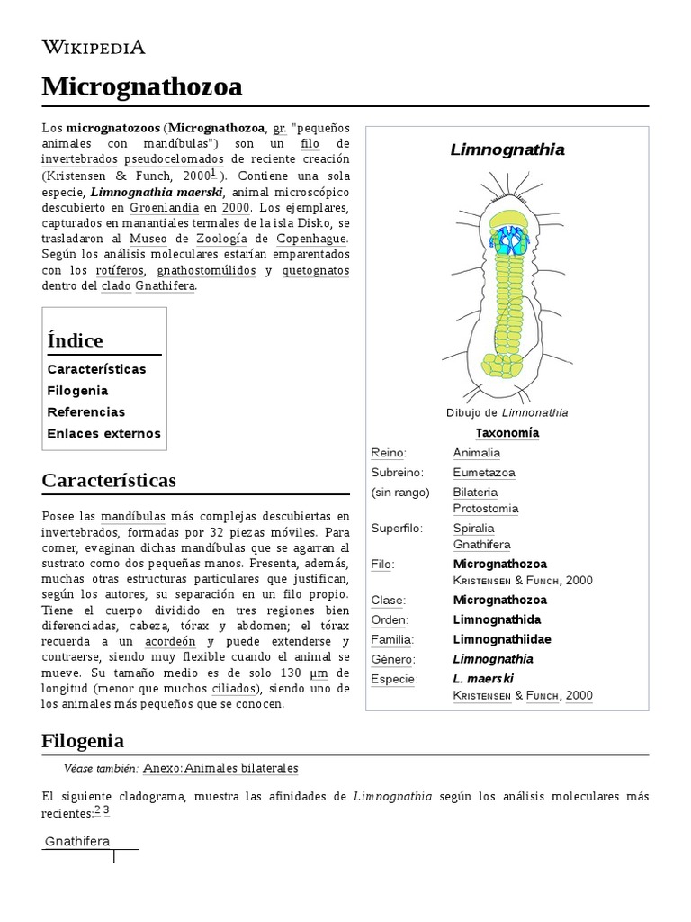 Micrognathozoa | PDF | Protostomas | Taxa