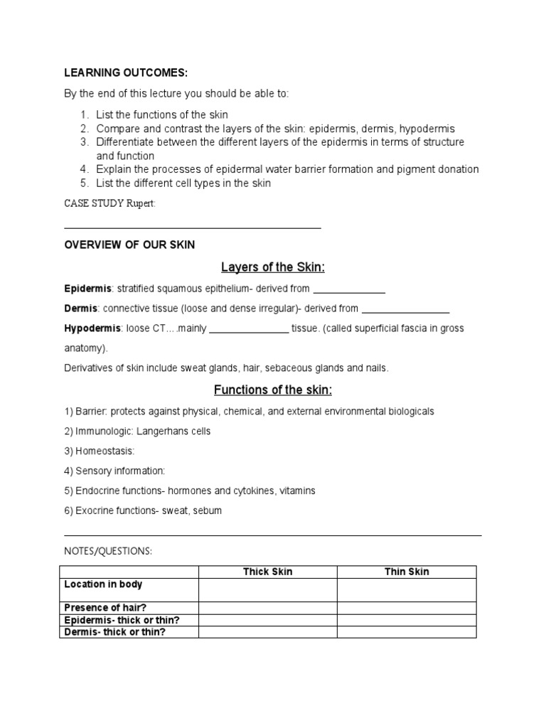 Learning Outcomes:: Layers of The Skin | PDF | Epidermis | Skin