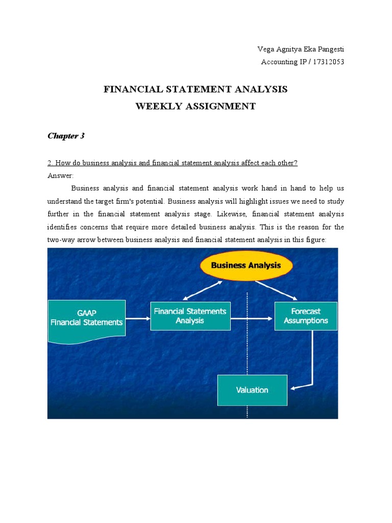 Financial Statement Analysis Weekly Assignment (Vega Agnitya Eka ...