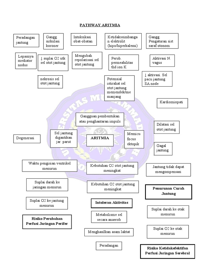 Pathway Aritmia | PDF