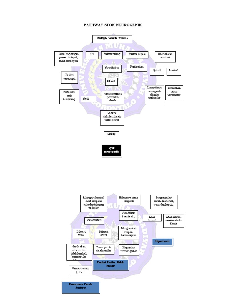 Pathway Syok Neurogenik dan Patofisiologinya | PDF