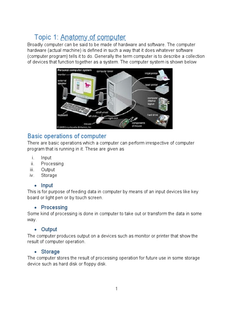 Topic 1: Anatomy of Computer | PDF | Computer Data Storage | Random ...