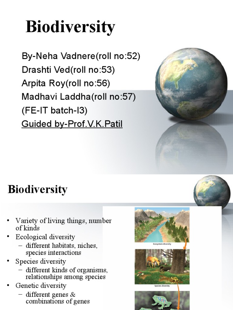 Biodiversity Pdf Extinction Biodiversity