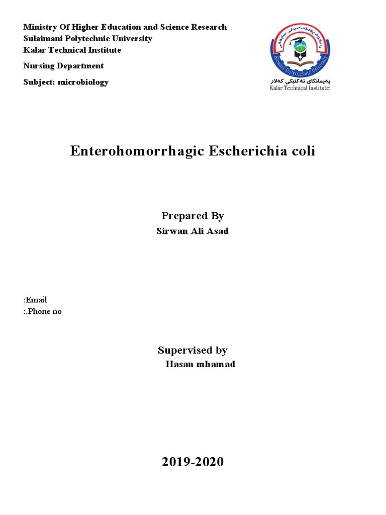 Sirwan Ali Enterohemorrhagic-Escherichia-coli | PDF | Escherichia Coli ...