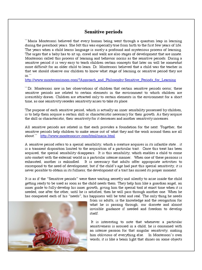 Sensitive Periods | PDF | Montessori Education | Mind