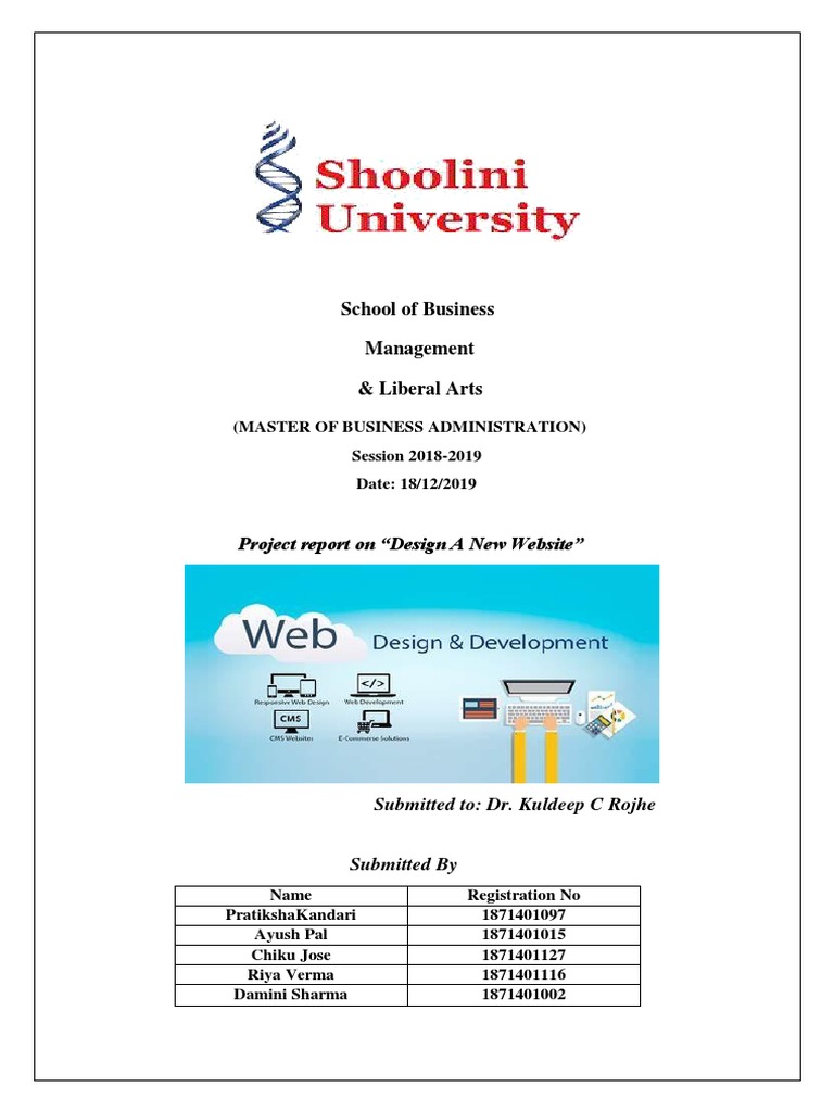 Web Development Report | PDF | Search Engine Optimization | Websites