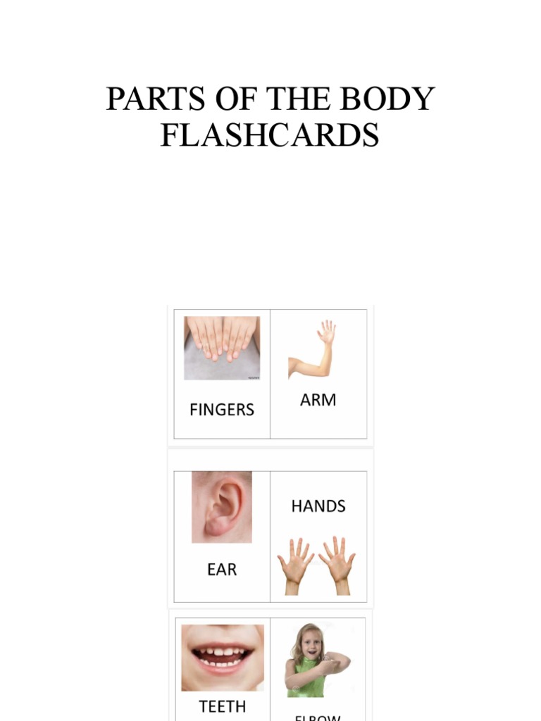 Body Parts Flashcards | PDF