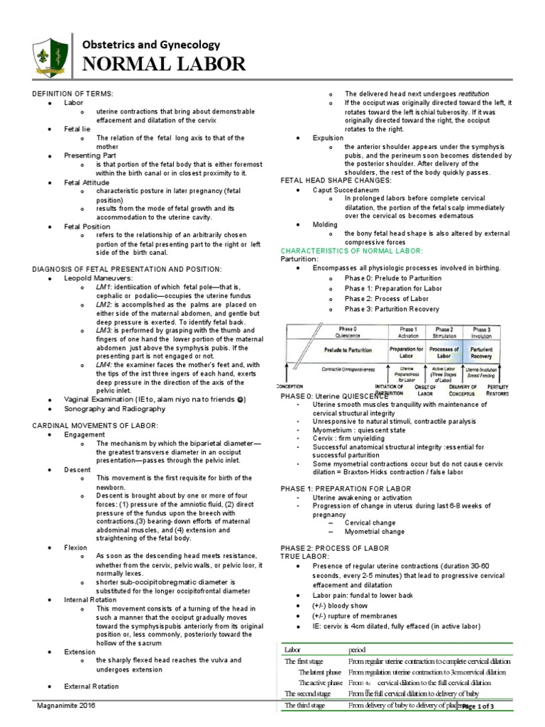Normal Labor: Obstetrics and Gynecology | PDF | Childbirth | Uterus