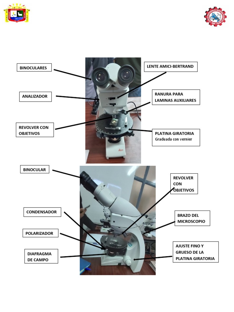 Uso Del Microscopio | PDF | Vidrio Ingeniería y Ciencia | Óptica