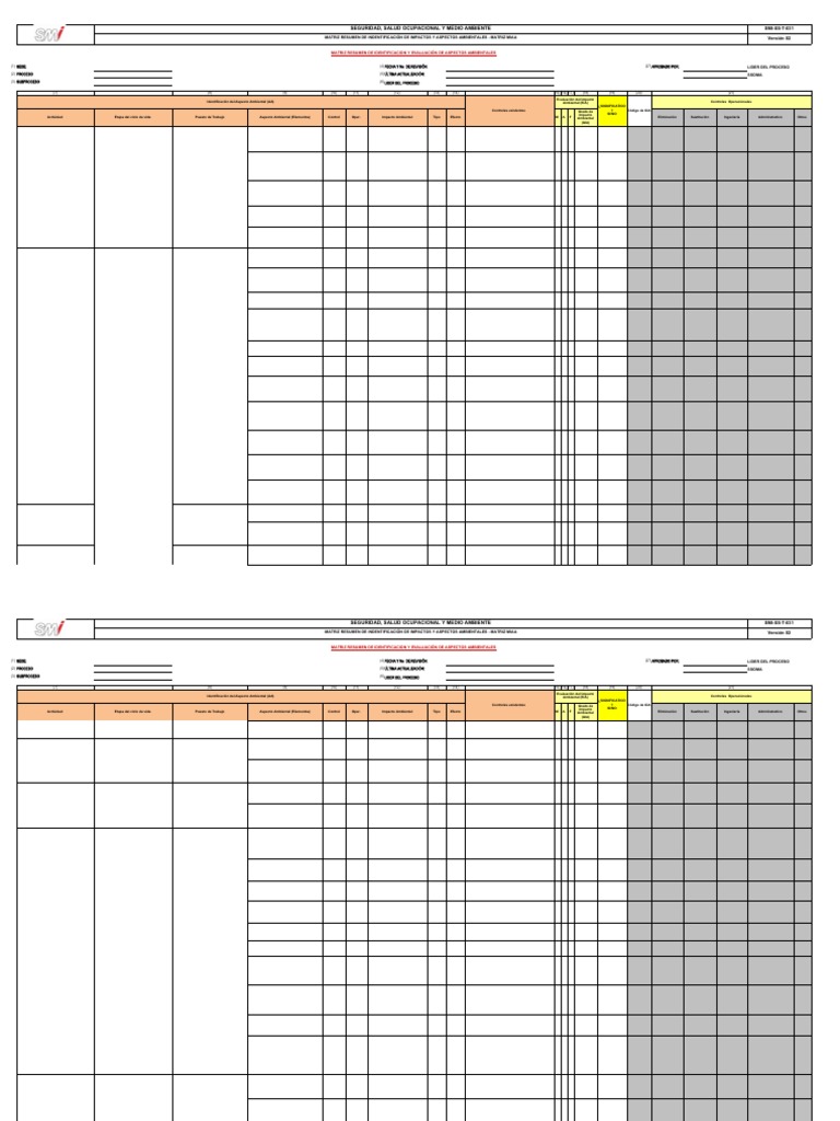 Matriz MIAA MODELO | PDF | Evaluación de impacto ambiental | Evaluación ...