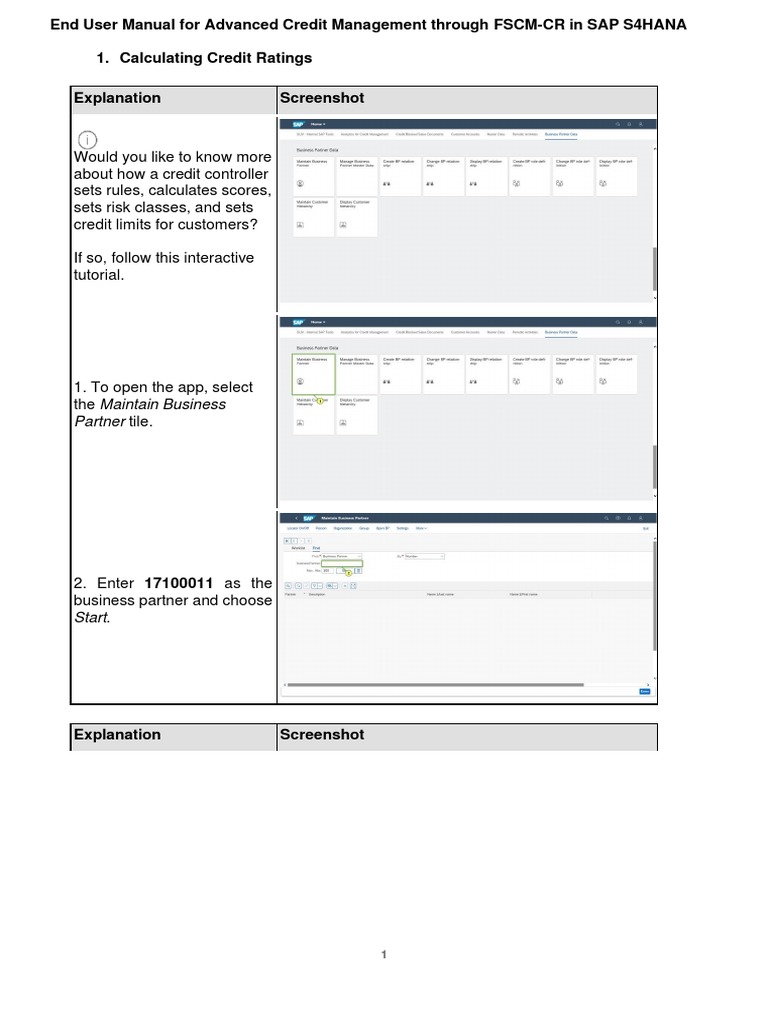 SAP Credit Management User Manual | PDF | Screenshot | System Software