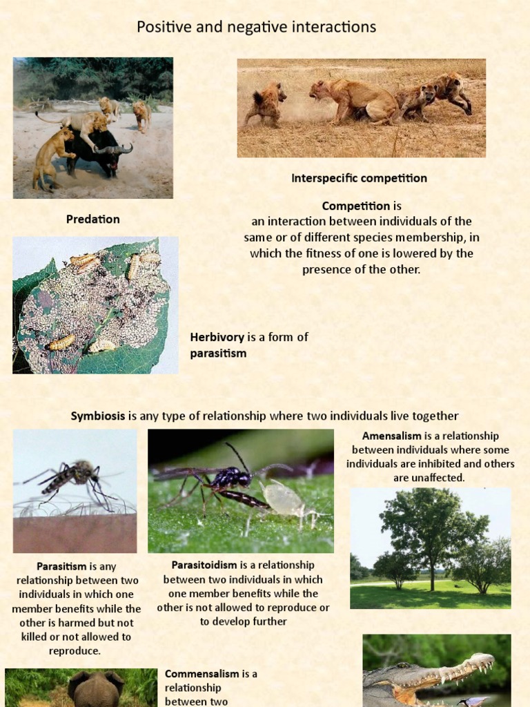 Interspecific and Intraspecific Interactions in Ecological Systems ...