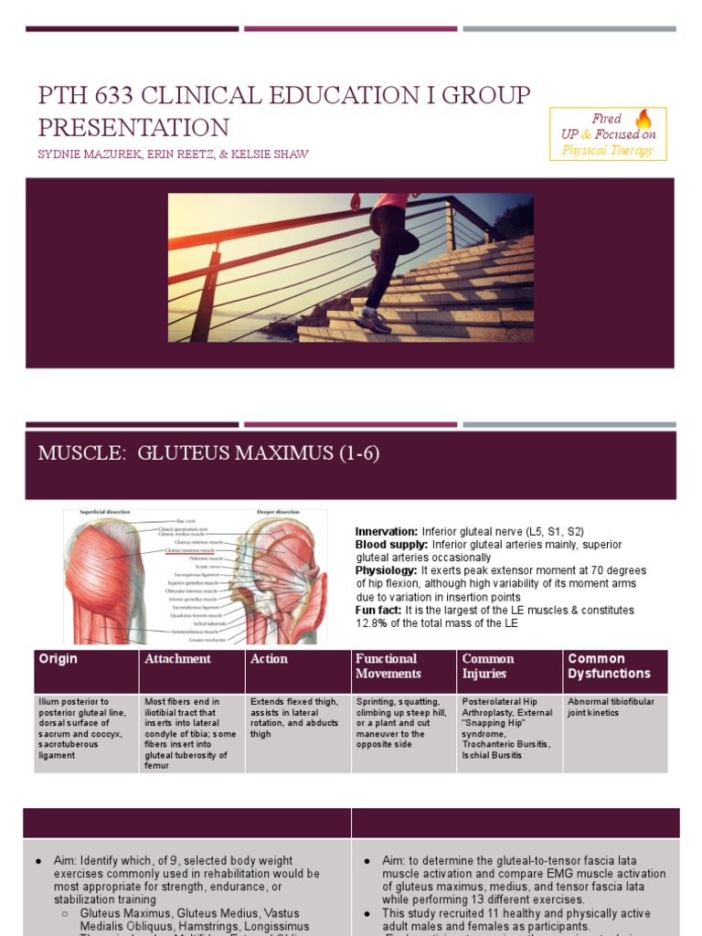 Gluteus Maximus: Anatomy & Rehab Insights | PDF | Dance Science ...
