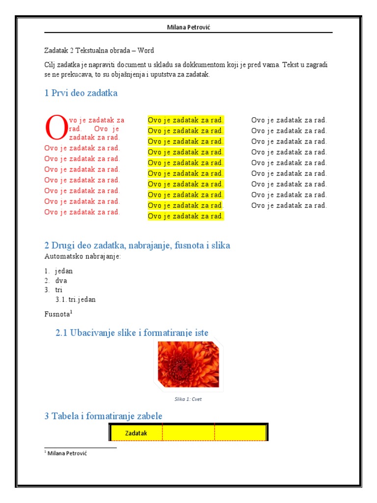 Zadatak 2 Tekstualna Obrada | PDF