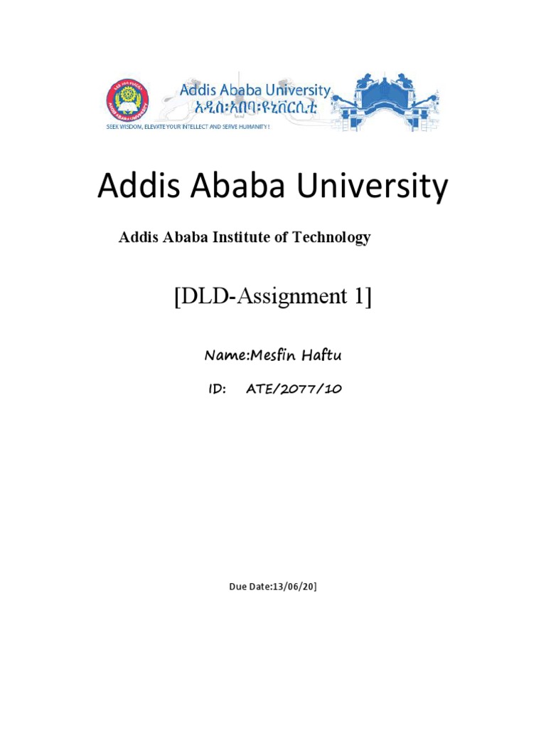 Addis Ababa University: (DLD-Assignment 1) | PDF | Disabled Sports ...