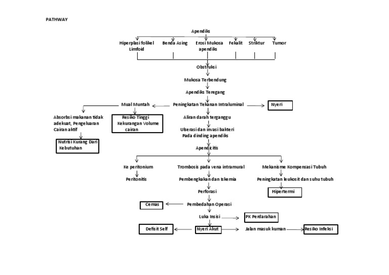 PATHWAY Apendiks | PDF