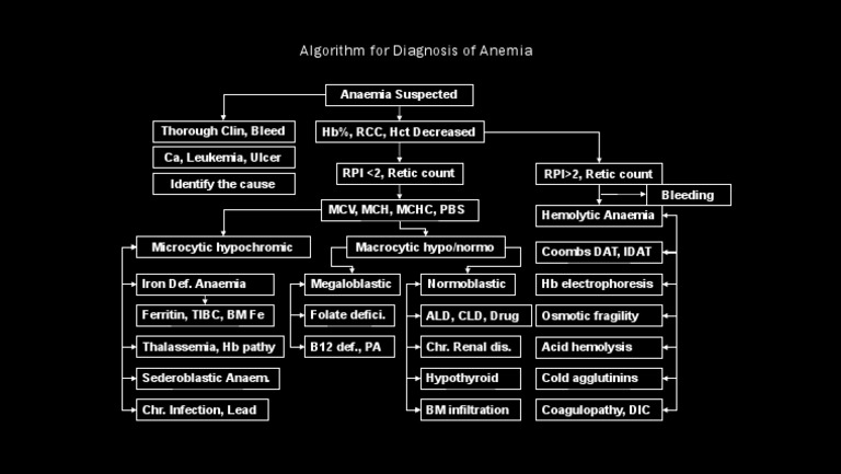 Algorithm For Anemia | PDF