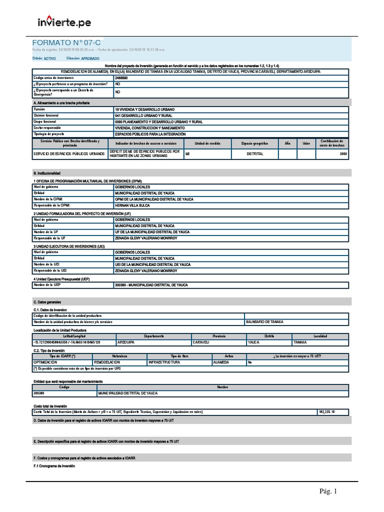 Formato 7c | PDF | Economias | Business
