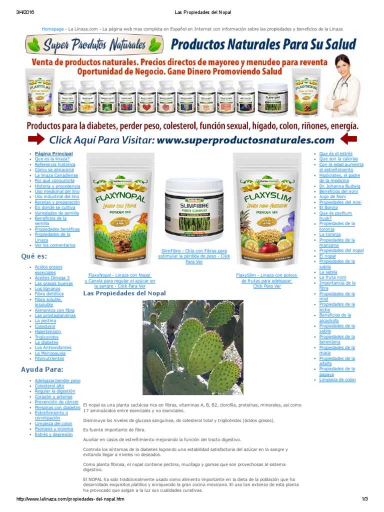 Las Propiedades Del Nopal PDF | PDF | Diabetes | Fibra dietética