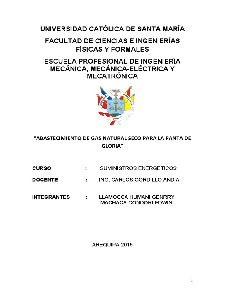 Abastecimiento de Gas Natural A La Fabrica de Gloria | PDF | Combustión | Gas natural