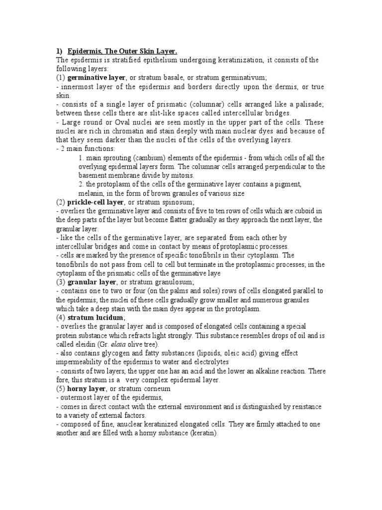 1) Epidermis, The Outer Skin Layer | PDF | Epidermis | Stimulus ...