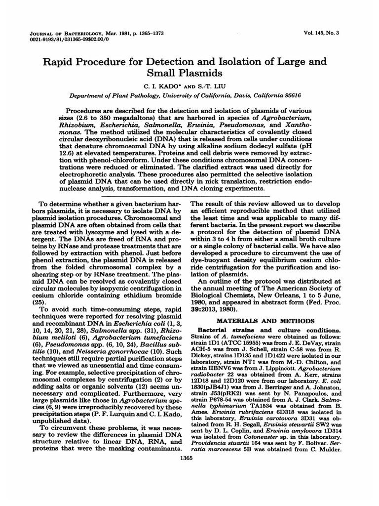 Rapid Procedure For Detection and Isolation of Large and Small Plasmids ...