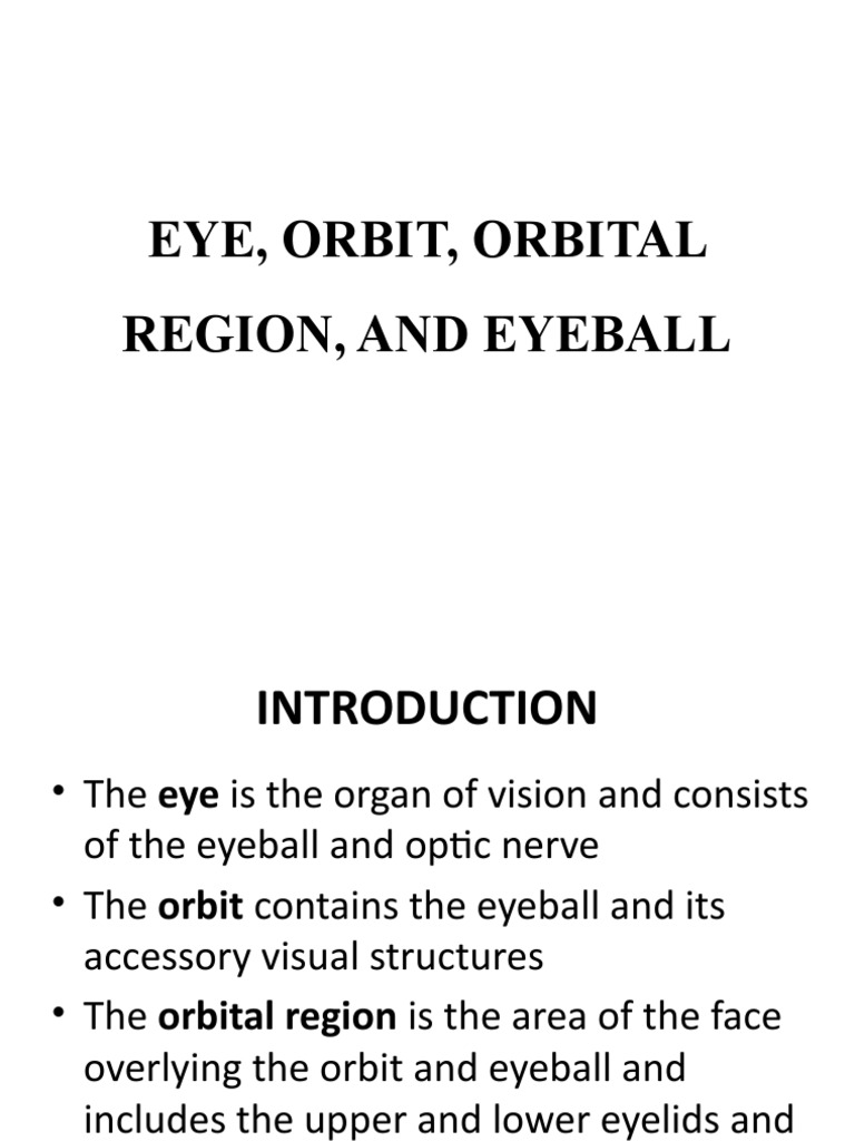 Eye, Orbit, Orbital Region, and | PDF | Eye | Human Head And Neck