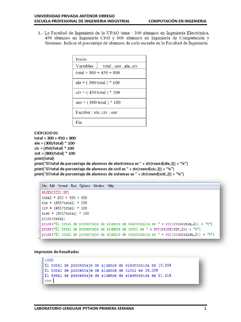 Ejemplo Diagrama NS | PDF | Python (lenguaje de programación ...