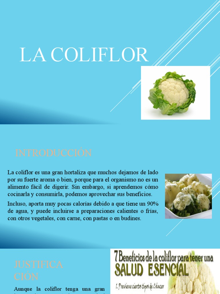 La Coliflor | PDF | Coliflor | Brócoli