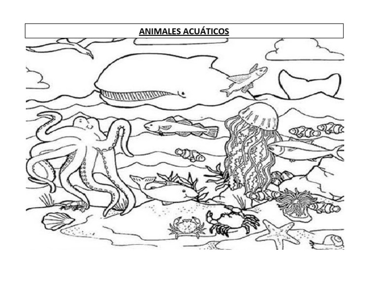 Animales Acuaticos para Colorear | PDF