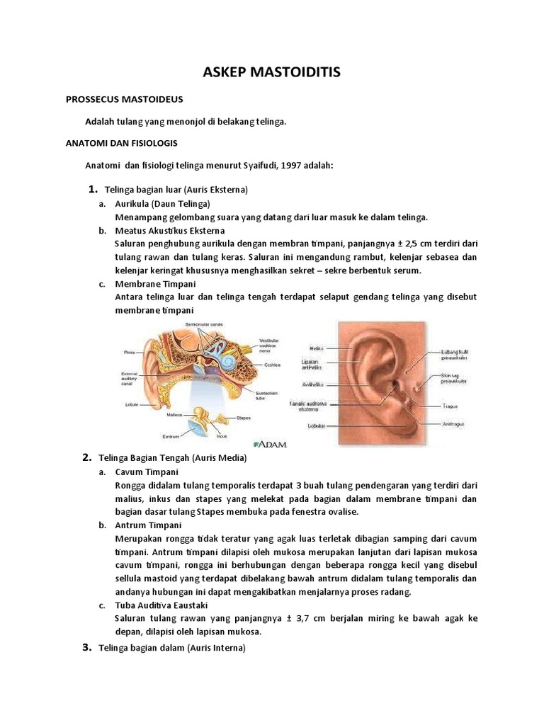 Mastoiditis Oleh Chusnul Laili (09110764-IKP REG 3B) | PDF