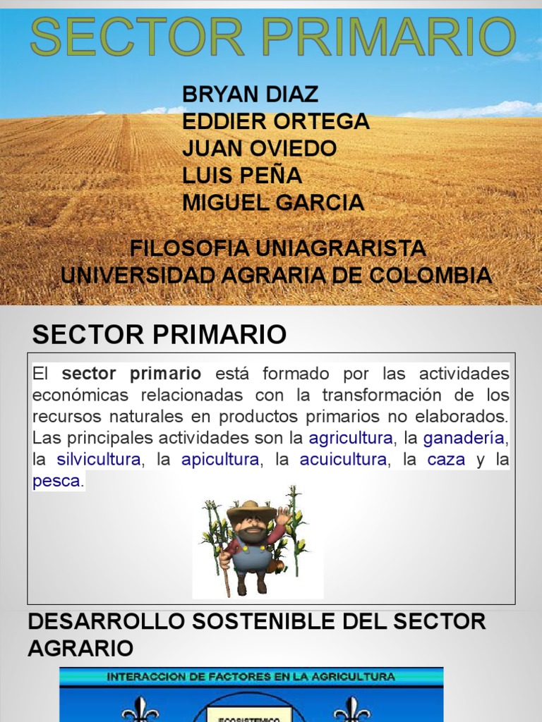 Sector Primario | PDF