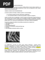 Termofijos Caracteristicas Procesos Aplicaciones | PDF | El plastico ...