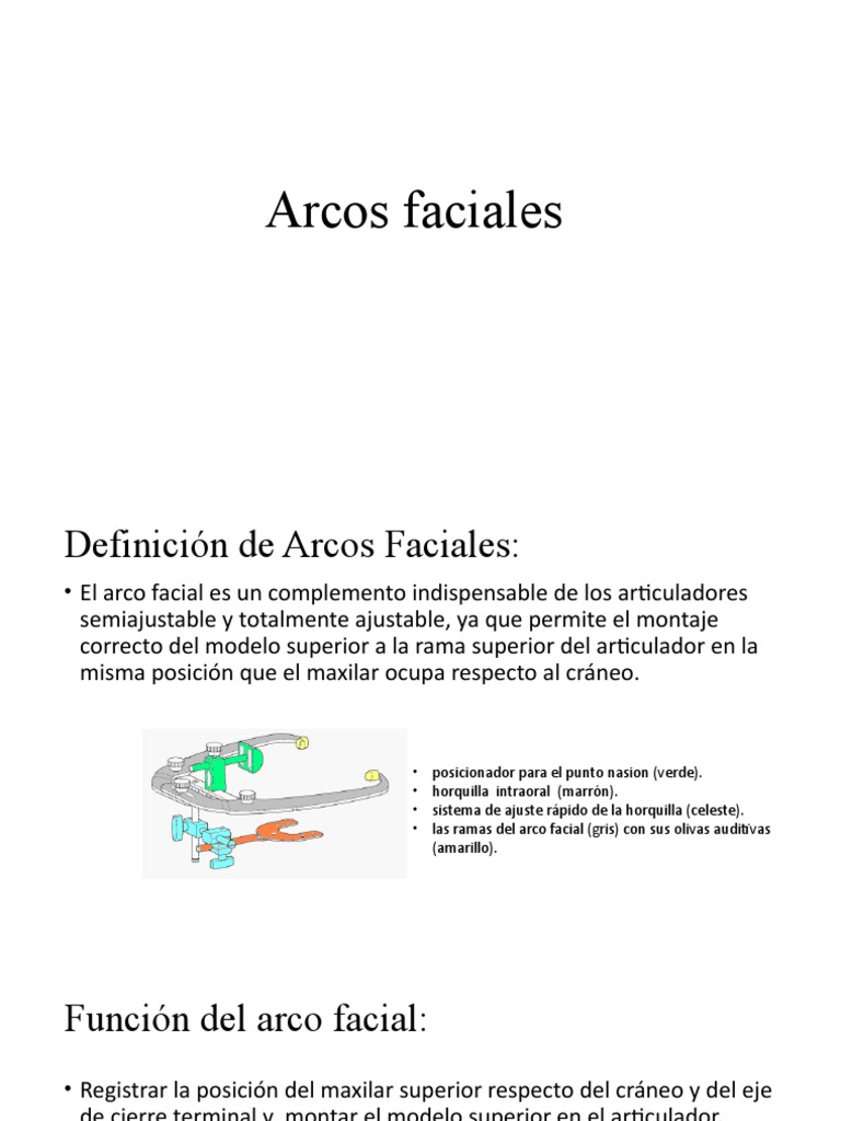 Tipos y Función del Arco Facial | PDF