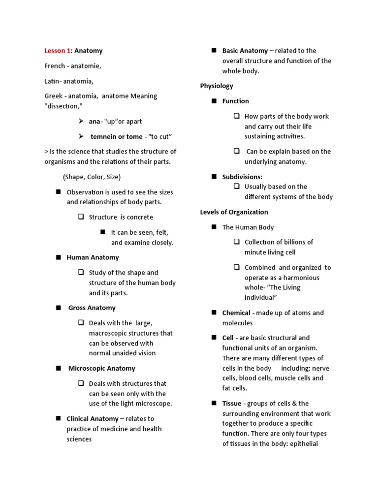 M. Anatomy Lesson 1 | Download Free PDF | Anatomical Terms Of Motion ...