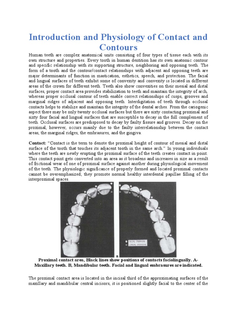 Contacts and Contours | PDF | Stress (Mechanics) | Young's Modulus