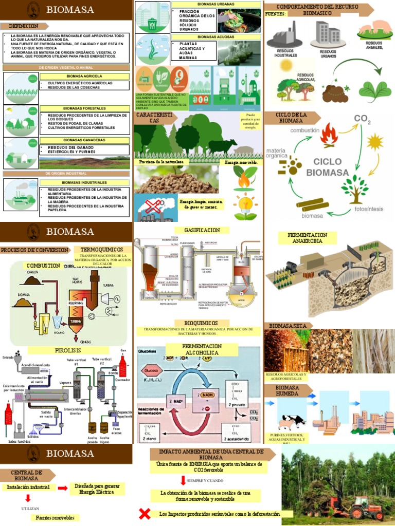 Biomasa Final Guido | PDF | Bioenergía | Recursos energéticos